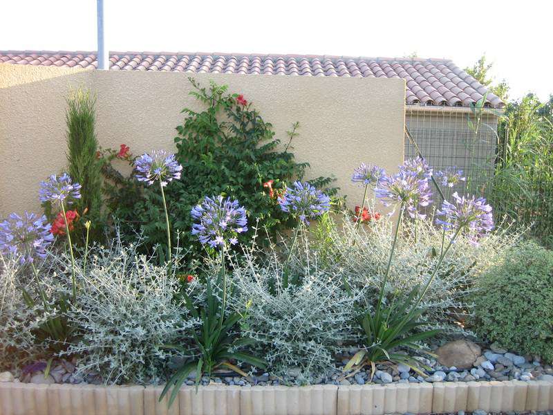 Réalisation de massifs à Carcassonne dans l’Aude - Renov' Jardin